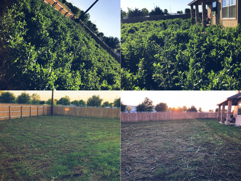 Green Guy Lawn Service – Lawn Maintenance, Landscaping, and More